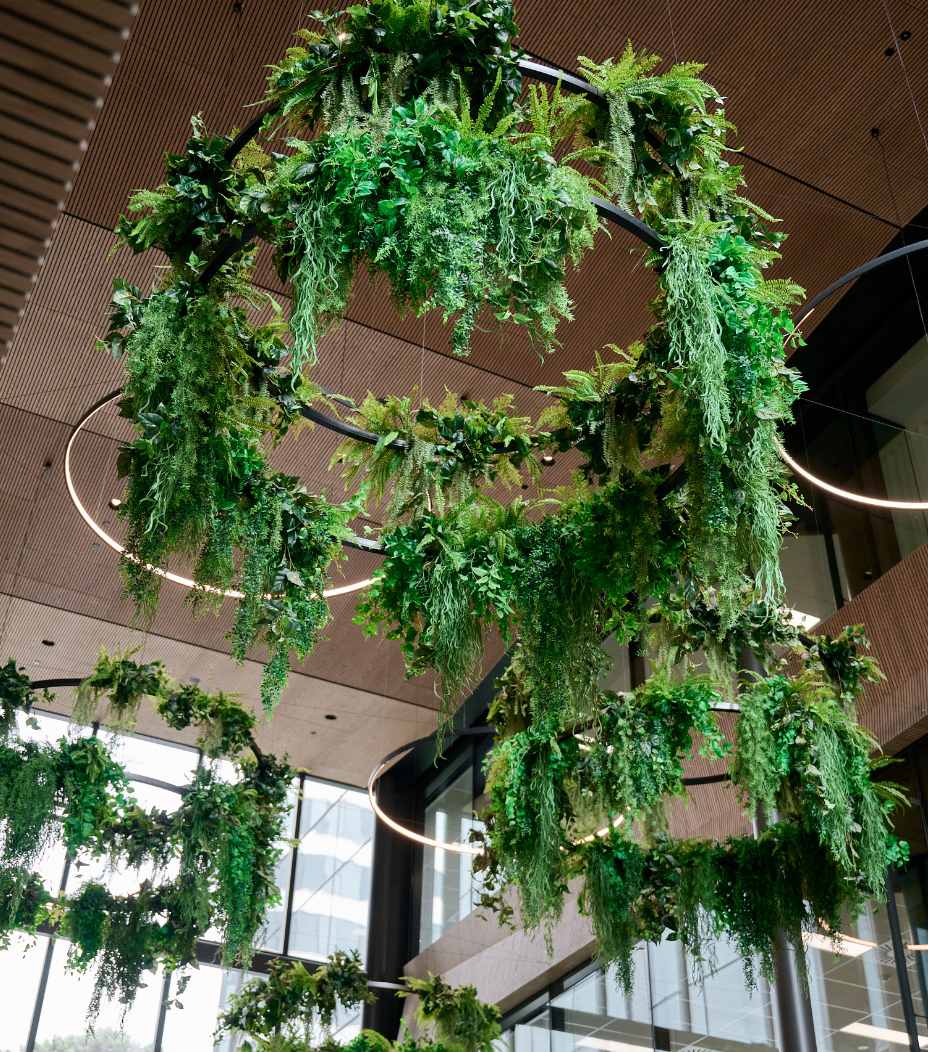 Products | Green Wall, Moss Wall & Plant Racks | Outside In