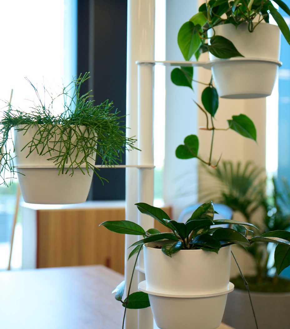 Products | Green Wall, Moss Wall & Plant Racks | Outside In